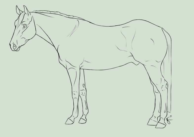 how to draw a quarter horse