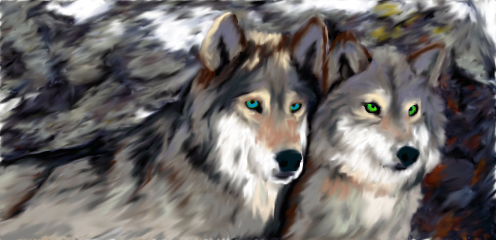 A Wolf Couple by Inescapability on DeviantArt