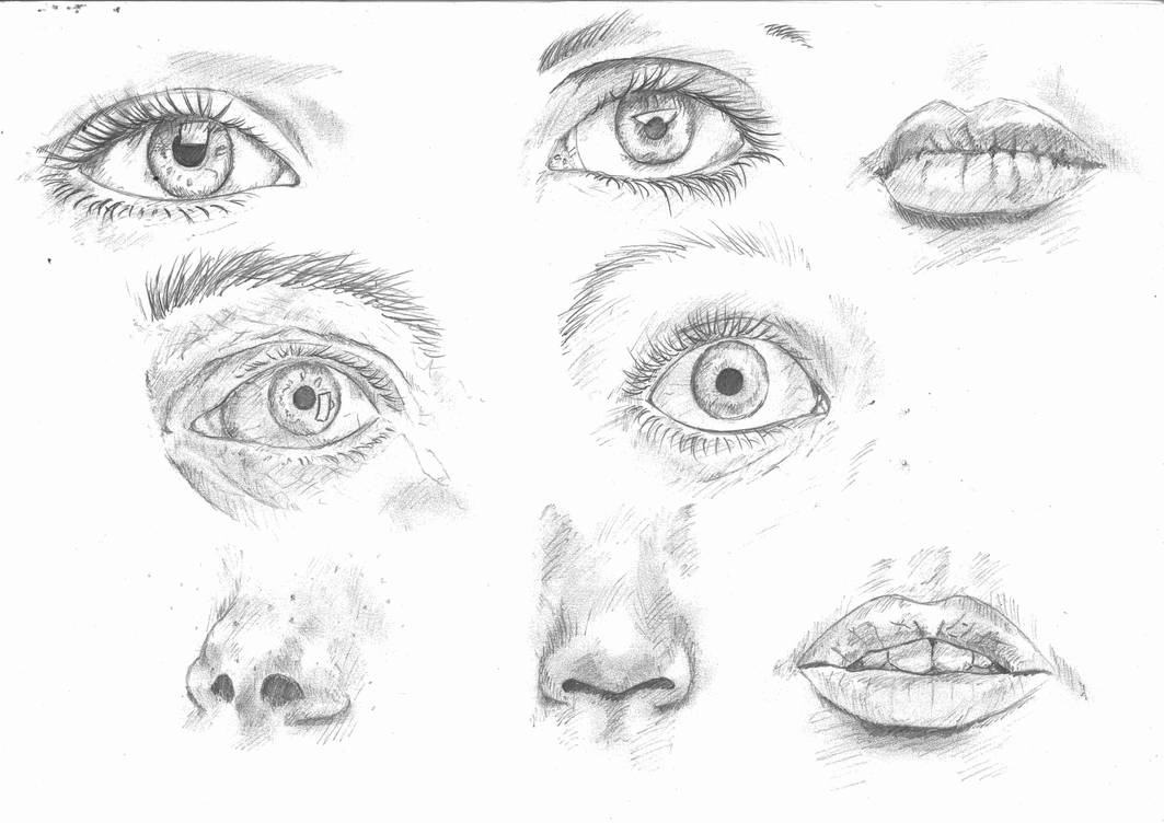 Facial Feature Sketches by Miss-HVAyres on DeviantArt