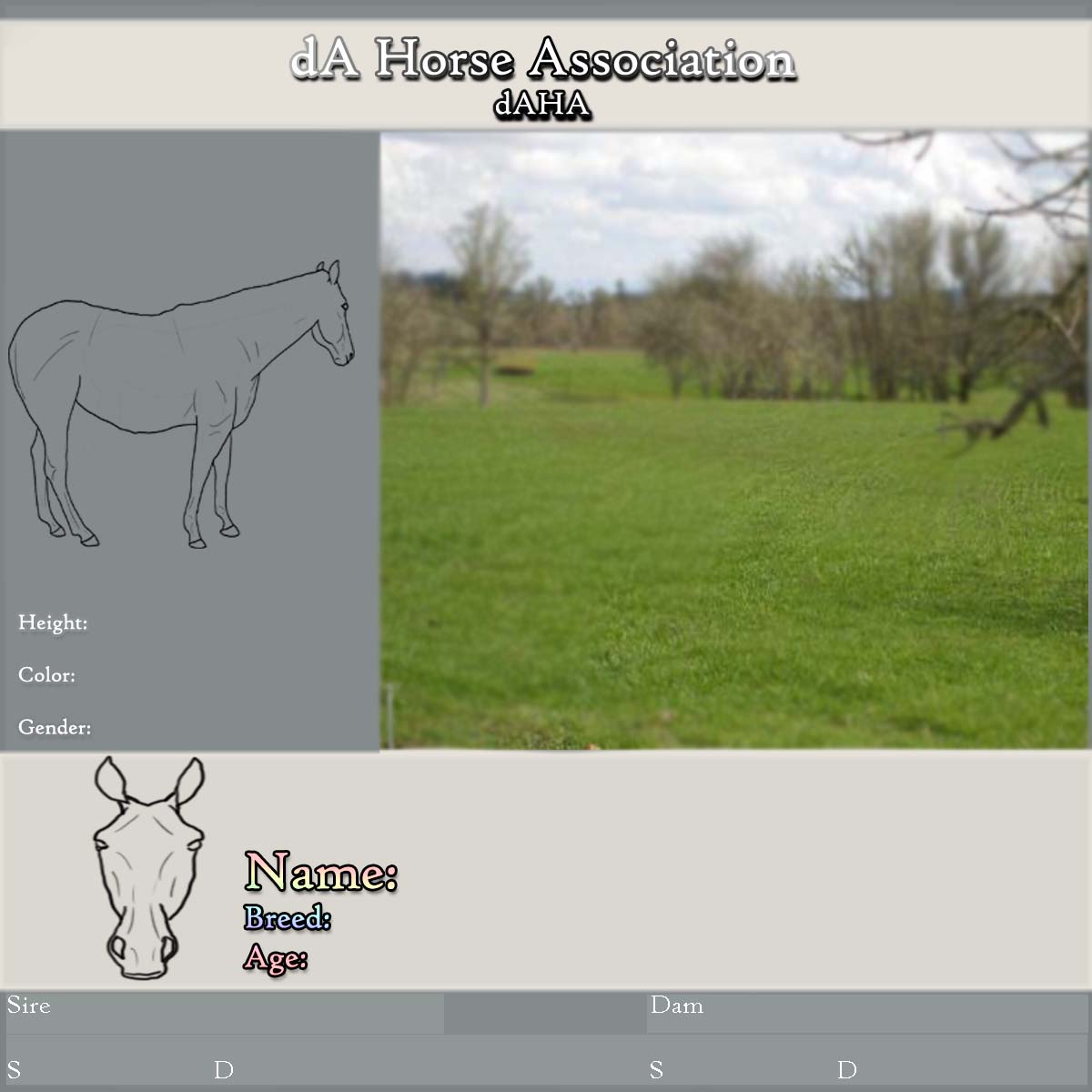 Templates on dA-Horse-Association - DeviantArt