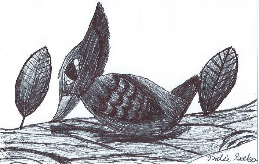 Bird by AnimeKatieKitty on DeviantArt