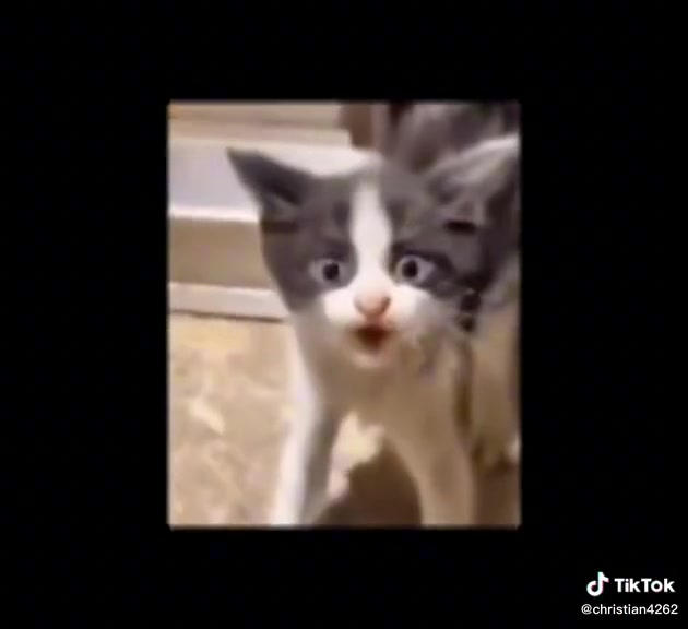 holeh moleh :O by aubreyzilla on DeviantArt