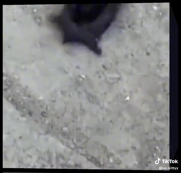 holeh moleh :O - 420 WATCHERS EDITION by spaceboycore on DeviantArt