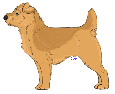 Free Terrier Template by Juinevere on DeviantArt