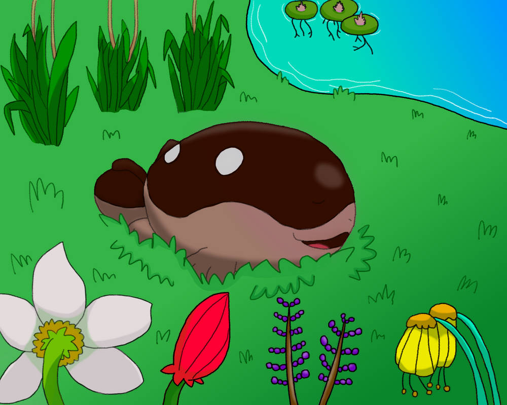ClodsireWallpaper by sizida on DeviantArt