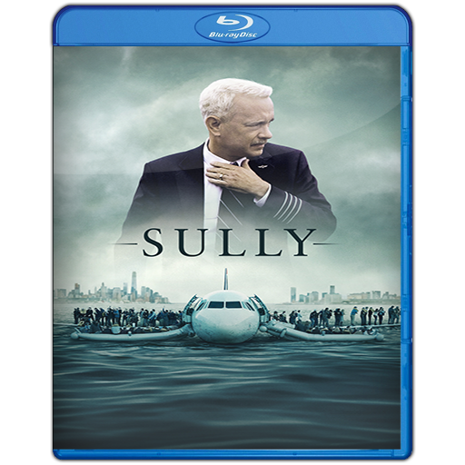 Sully Movie Folder by ThaJizzle on DeviantArt