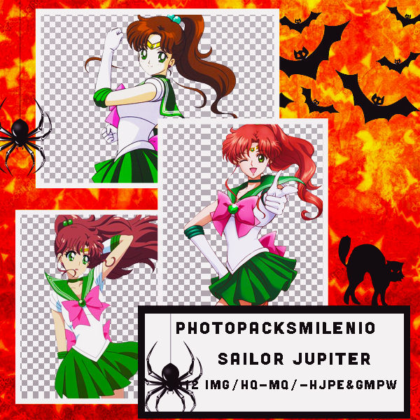 Pngs - Sailor Jupiter by PhotopacksMilenio on DeviantArt