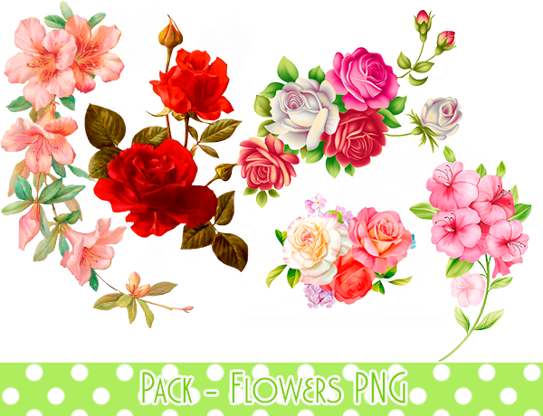Pack - Flowers PNG #1 by MinmeyPrints on DeviantArt