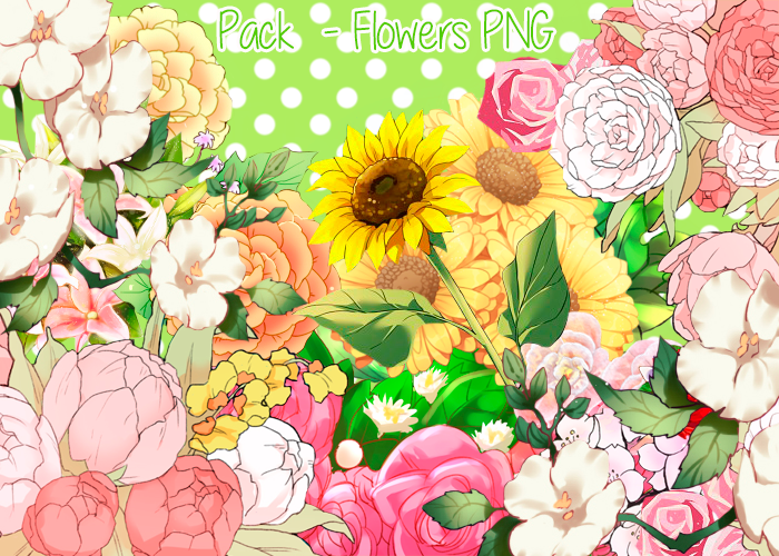 Pack - Flowers PNG #2 by MinmeyPrints on DeviantArt