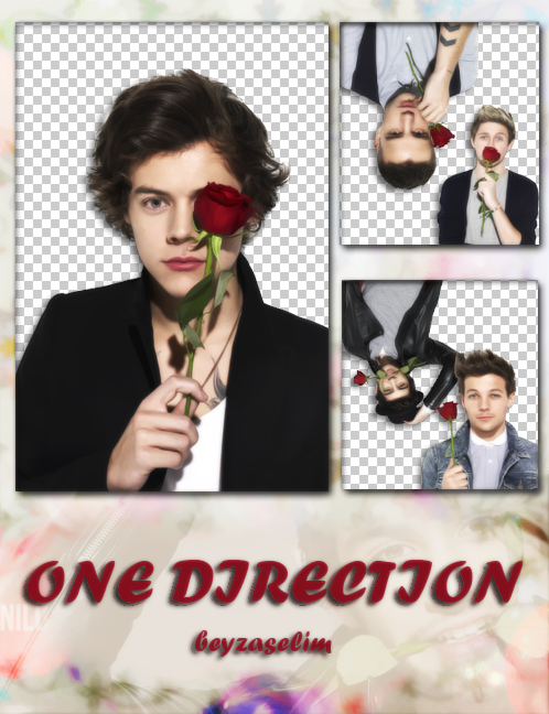 One Direction Png Pack 60 by beyzaselim on DeviantArt