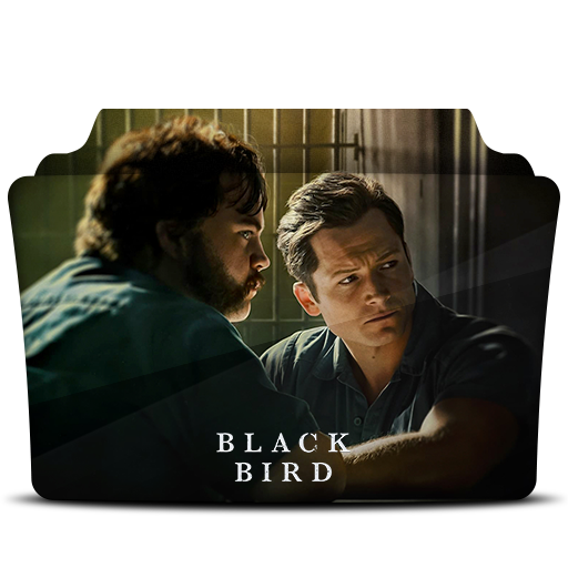 Black Bird - TV Mini Series Folder icon by hassanalmokadem on DeviantArt