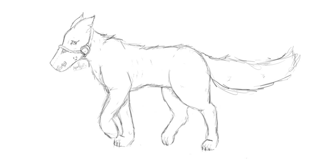 Shaa - OC by Apollyon02 on DeviantArt