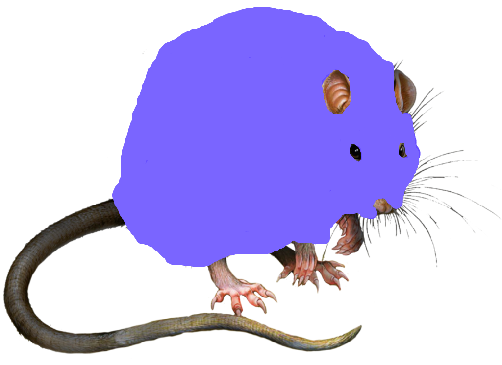 Squeaky the Periwinkle Mouse (Super WHY) by IsaacHelton on DeviantArt
