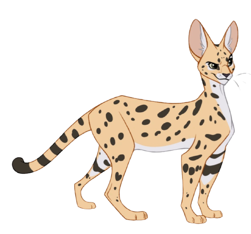 Serval PNG by IsaacHelton on DeviantArt