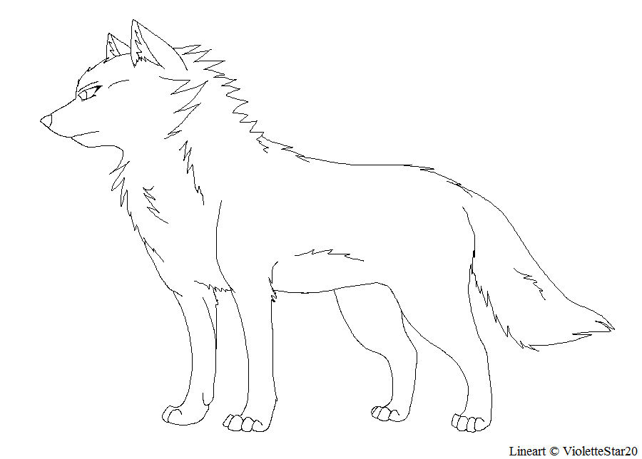 Female wolf lineart by VioStarkiller on DeviantArt