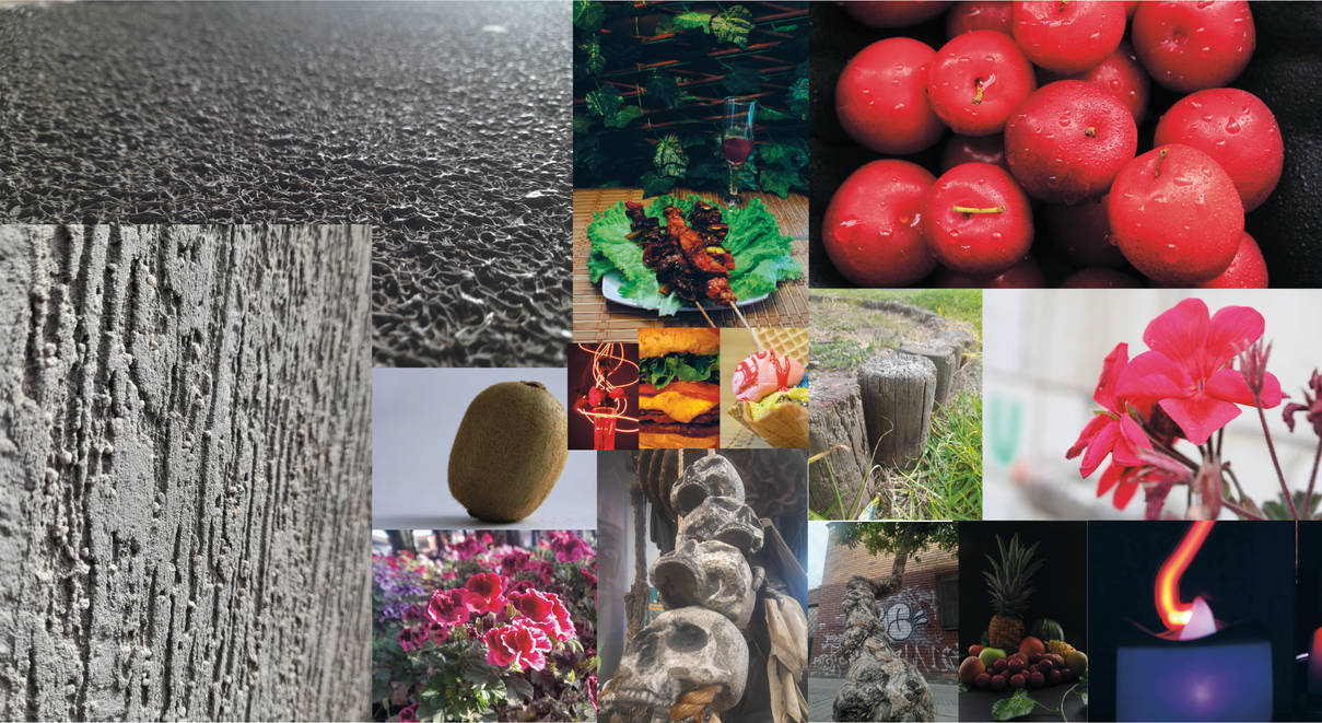 Photography Gallery by elsrchucho on DeviantArt