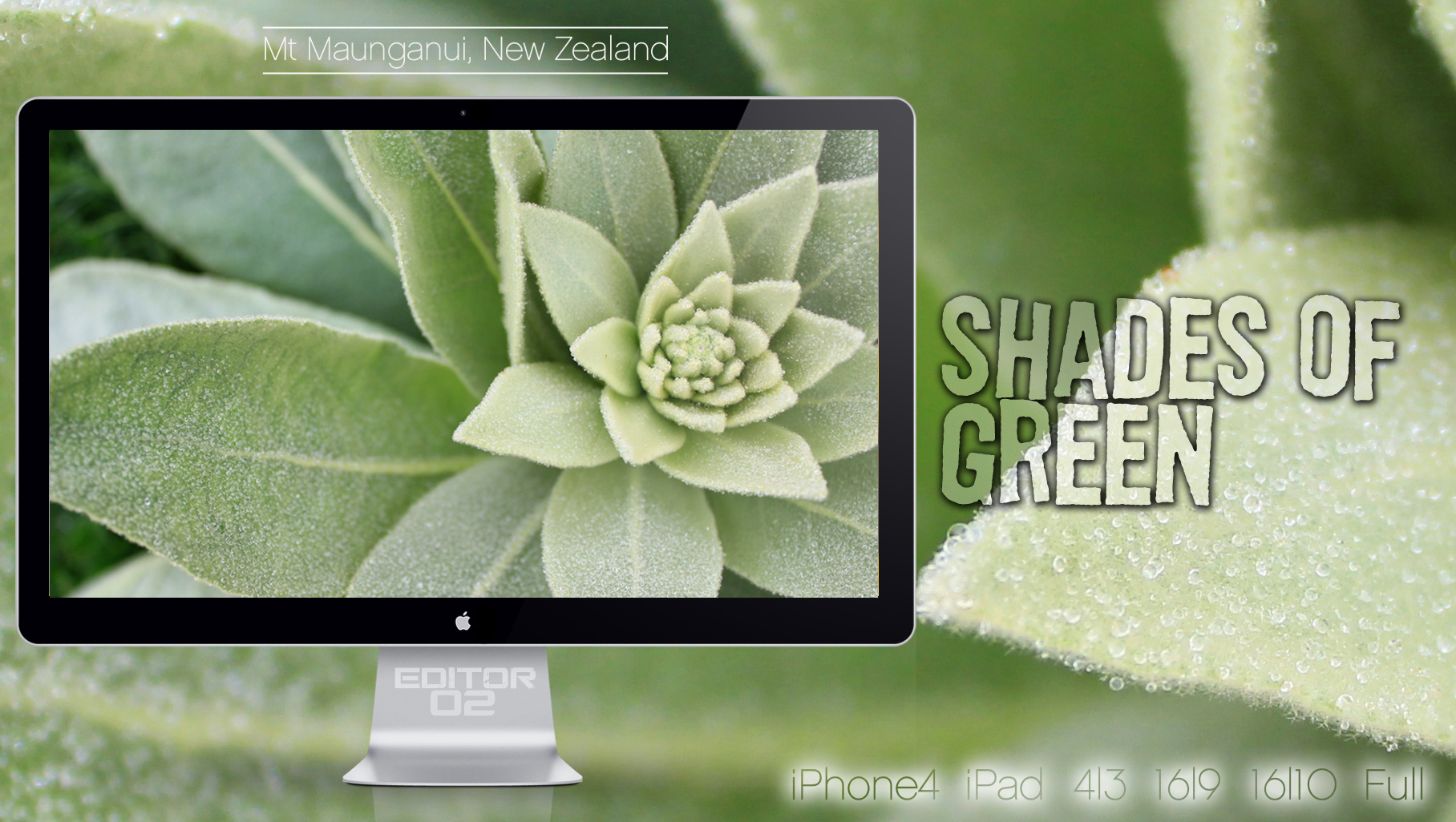 Shades of Green - Wallpaper by GavinAsh on DeviantArt