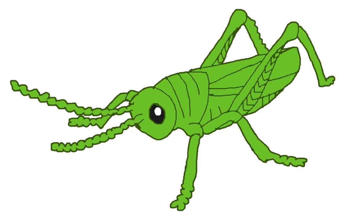 Grasspopper by ChalkBugs on DeviantArt