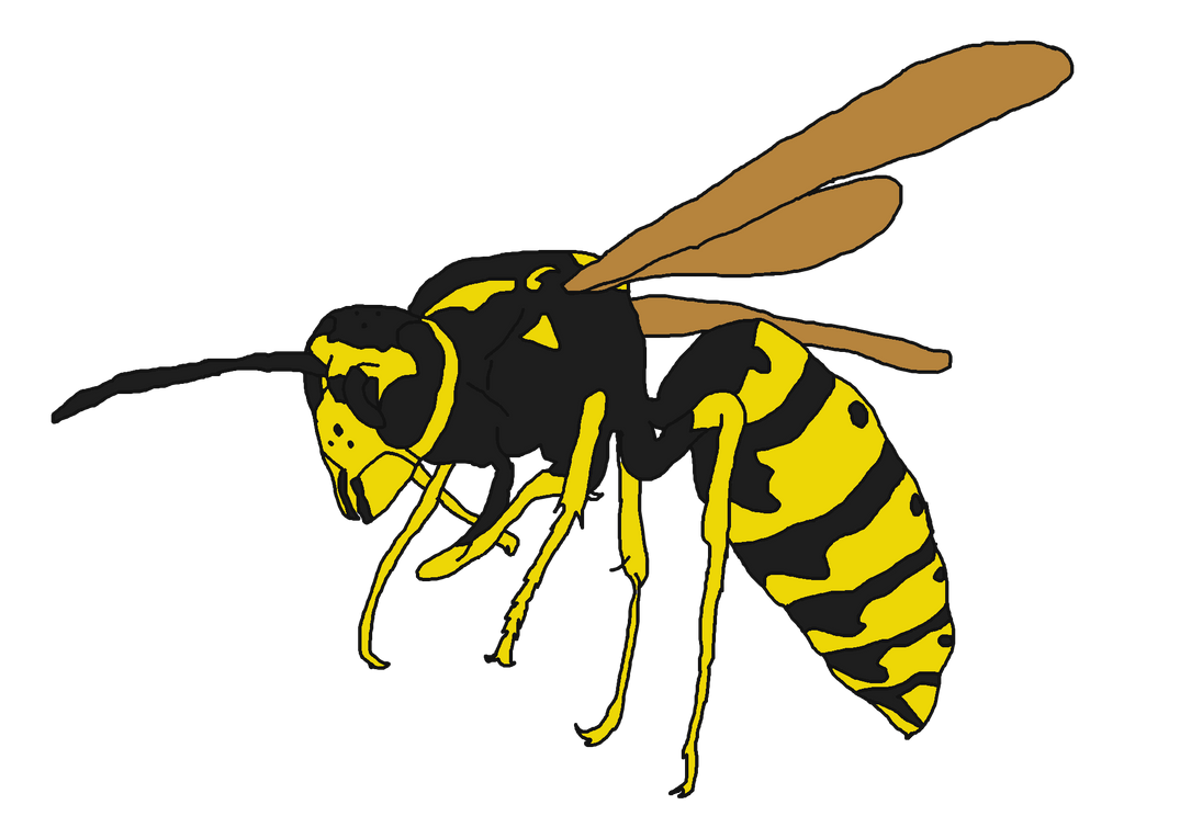 Yellow Jacket by ChalkBugs on DeviantArt