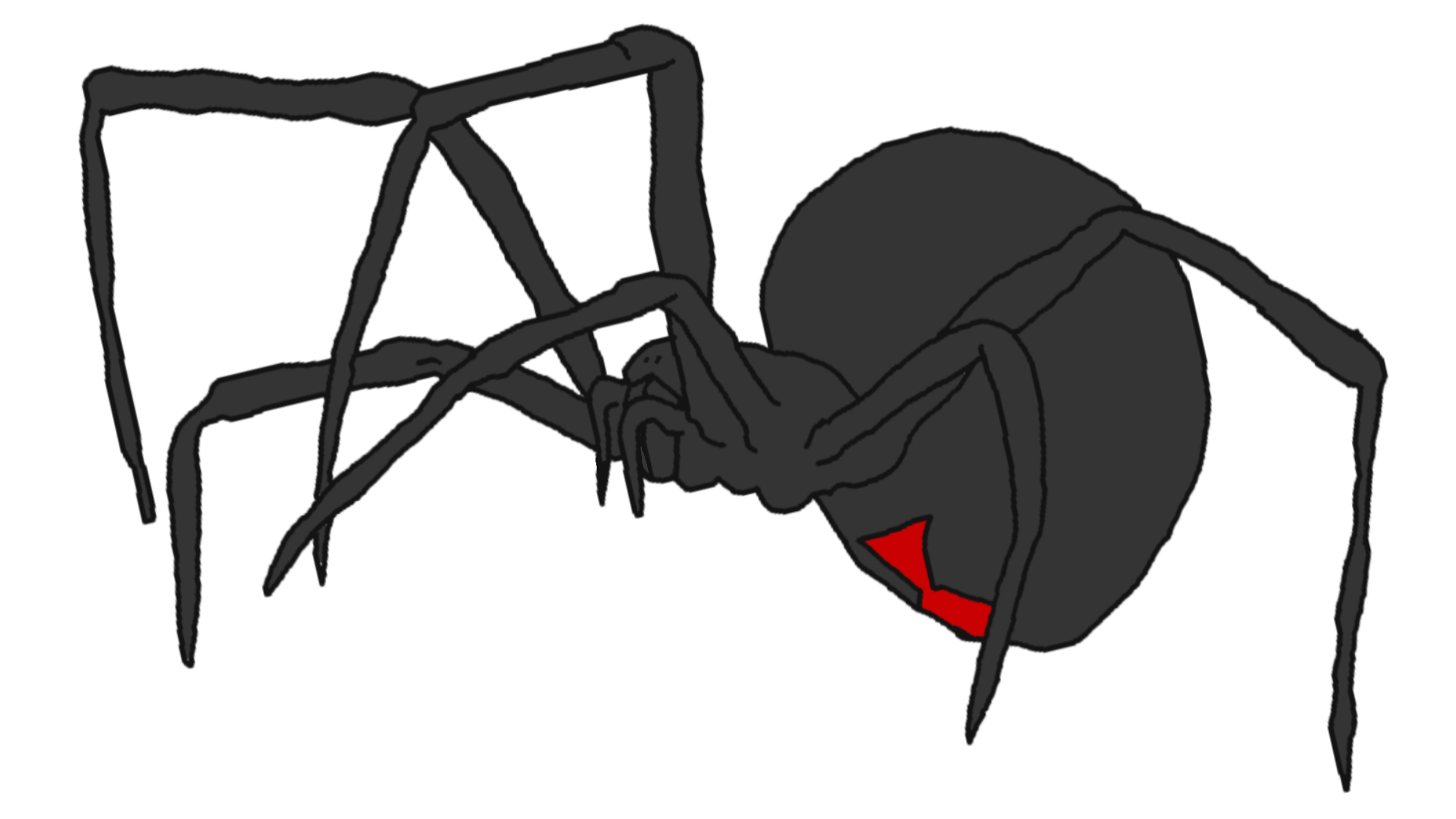 Widow by ChalkBugs on DeviantArt