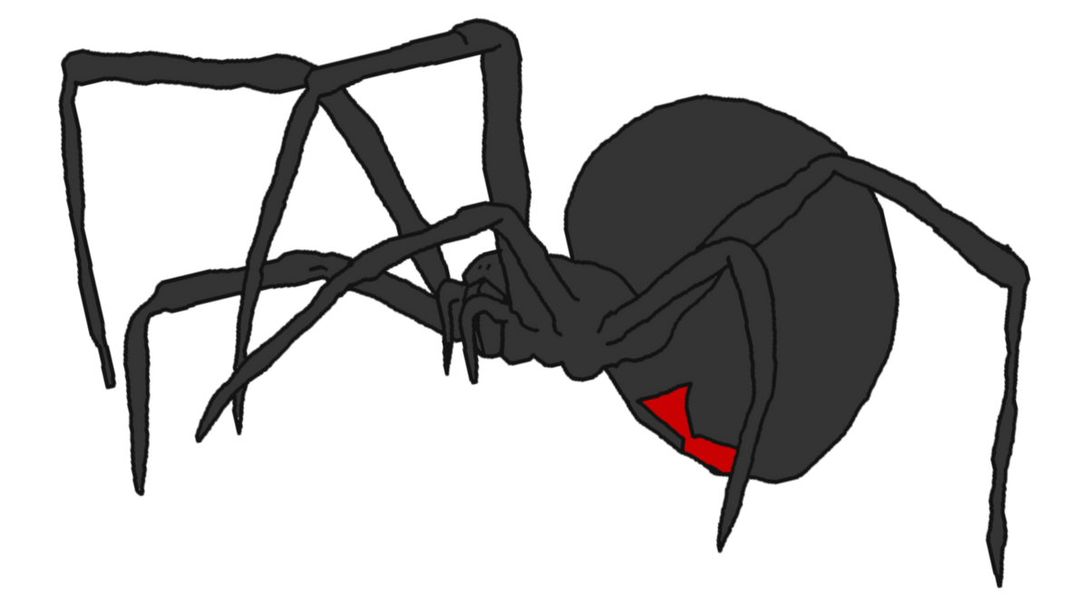 Widow by ChalkBugs on DeviantArt