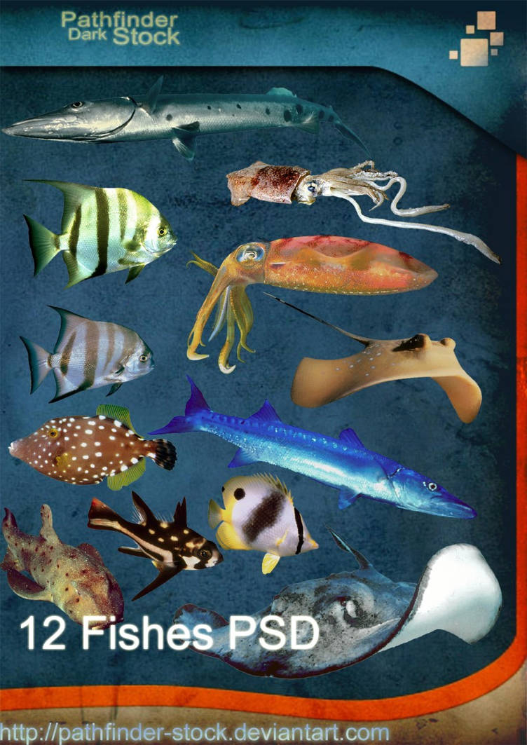 12 Fishes PSD Pack by Pathfinder-Stock on DeviantArt
