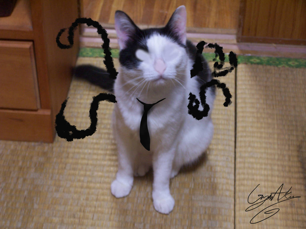 My Cat is Slenderman by Jinbeizamezama on DeviantArt