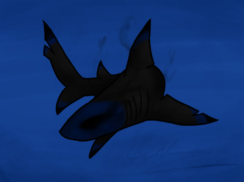 Eyeless Jack Shark by Jinbeizamezama on DeviantArt