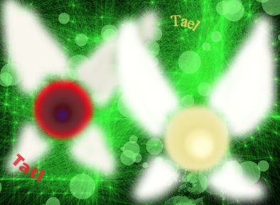 Tatl and Tael by darkheven11 on DeviantArt