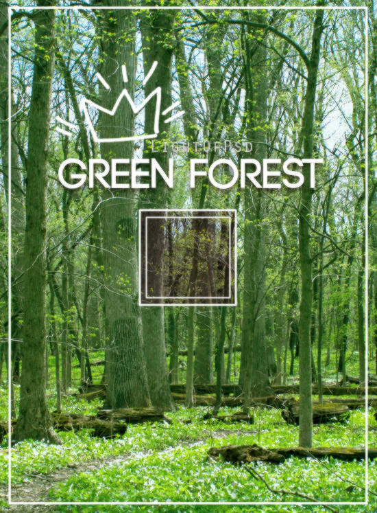 PSD Green Forest by LightOfPsd on DeviantArt