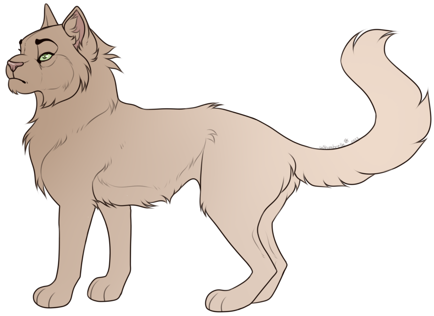 Free Cat Base by whimbrellic on DeviantArt