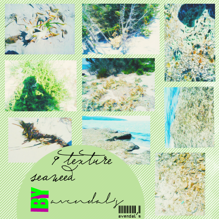 Pack Texture #18 Texture seaweed. by Avendals on DeviantArt