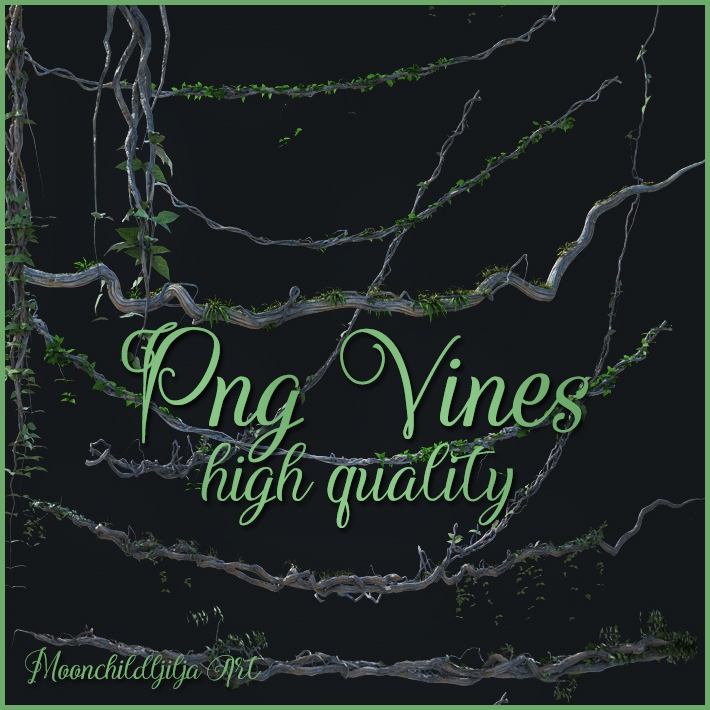 Png Vines new by moonchild-ljilja on DeviantArt