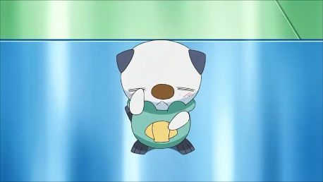 (GIF) Sleepy Oshawott is sleepy by PaperRony95 on DeviantArt