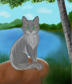 Tangle-Kitty - Hobbyist, Artist | DeviantArt