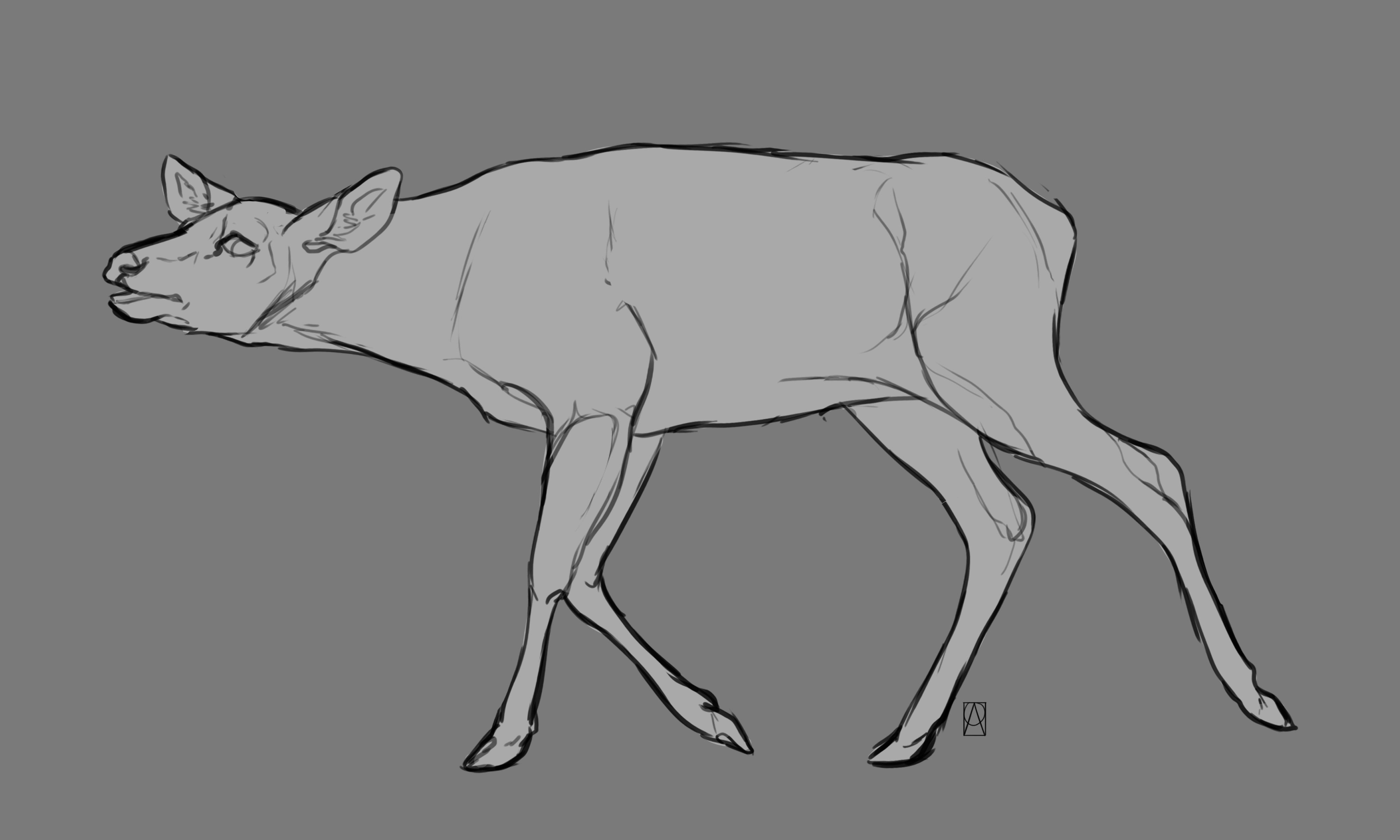 FREE Sketchy Deer Base by CoypuCoyote on DeviantArt