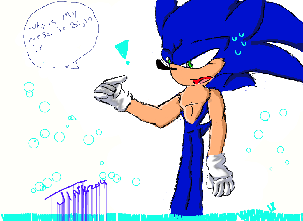 Sonic's Nose. by Awesome1472 on DeviantArt