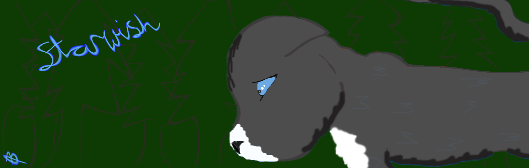 Starwish by Mackattycat on DeviantArt