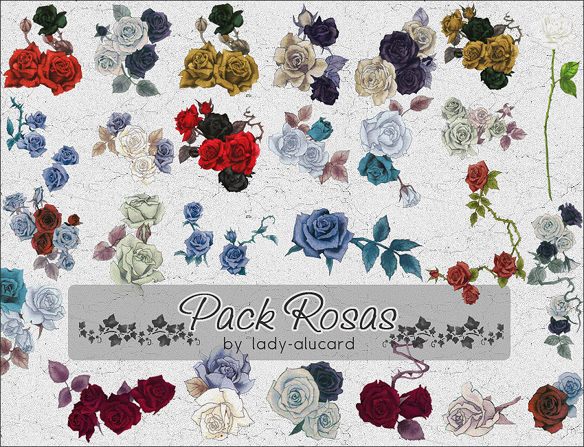 ROSAS by lady-alucard by lady-alucard on DeviantArt