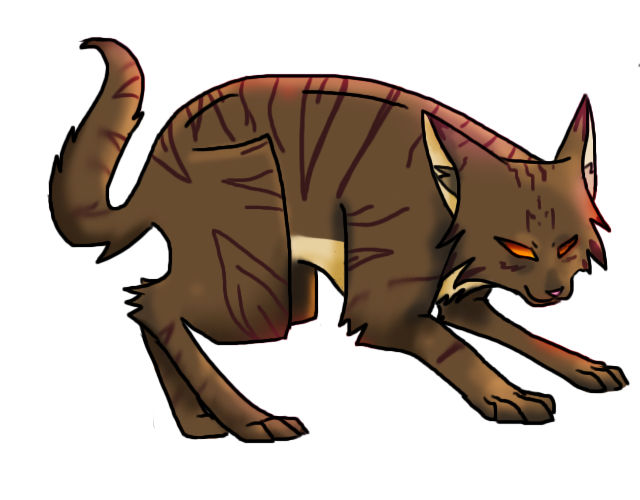 Warrior Cats: Tigerstar by timelady21 on DeviantArt