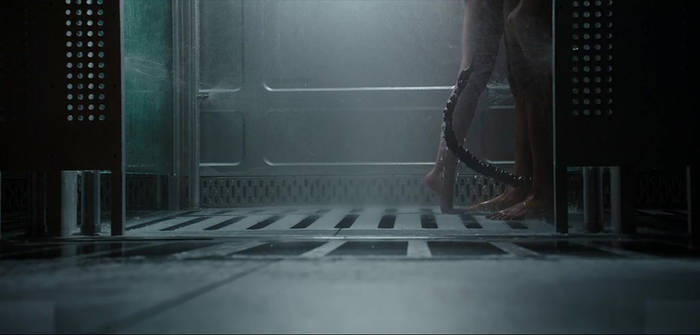 MurenoGranda User Profile | DeviantArt