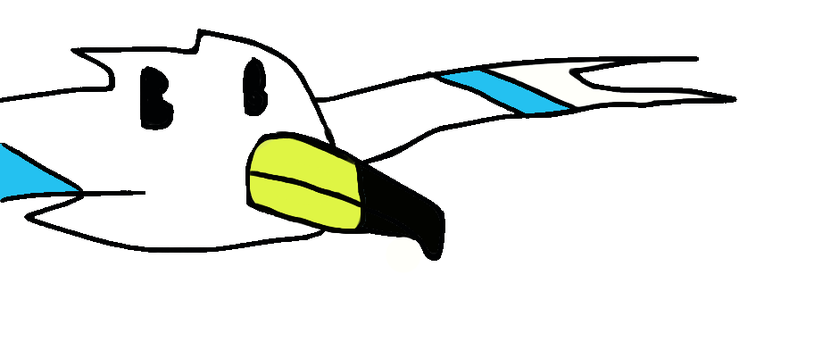 Random Wingull by TheScribbler12 on DeviantArt