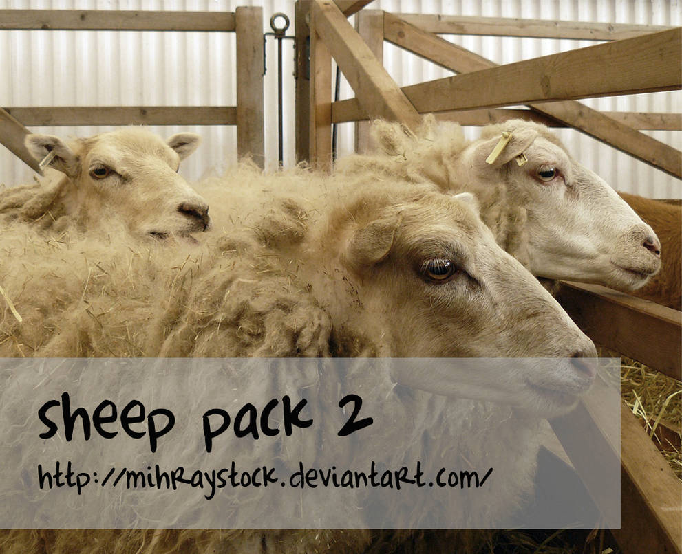 sheep pack 2 by Mihraystock on DeviantArt