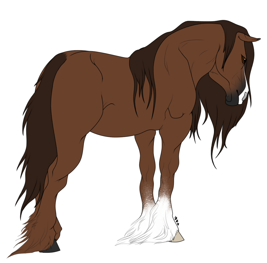 FREE PSD Draft Horse Lineart by WolfPawdoptables on DeviantArt