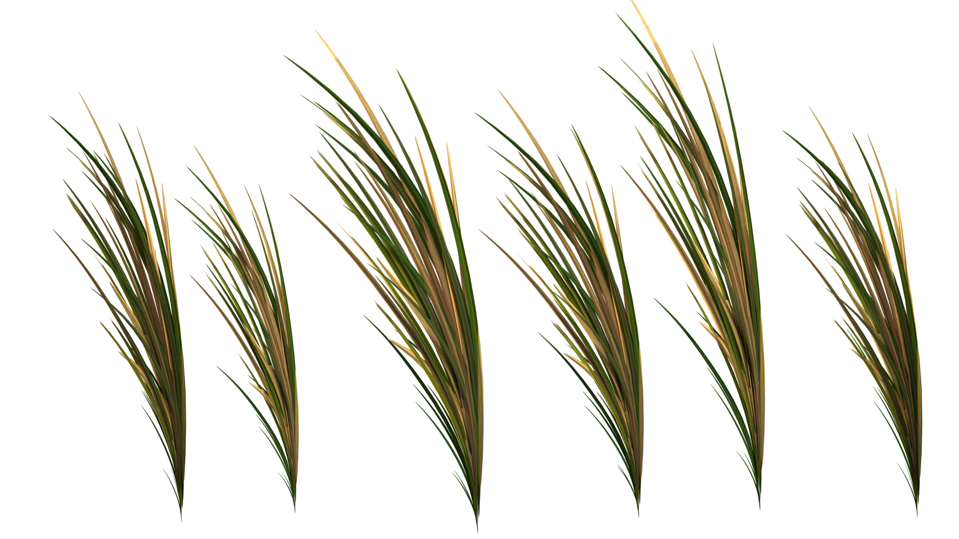 Grass pack PNG by alealedrink on DeviantArt