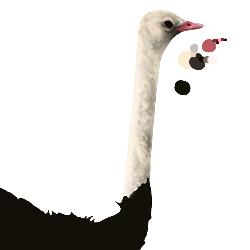 Ostrich Portrait - WIP by BiscuitsandArt28 on DeviantArt