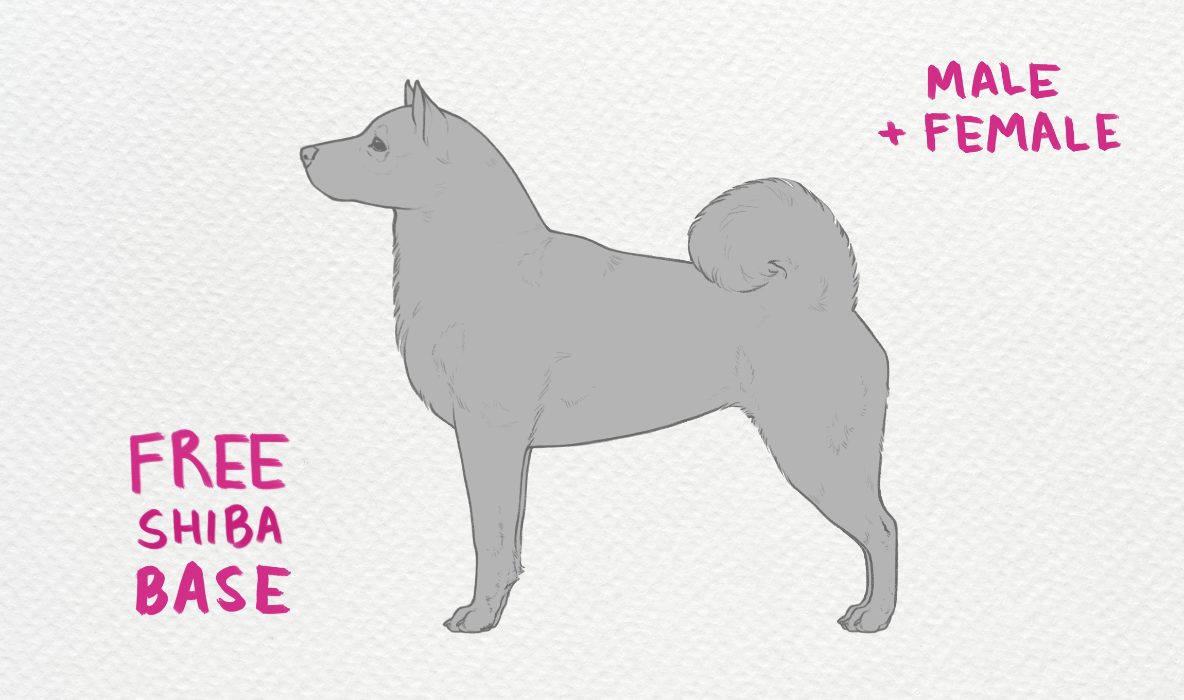 Shiba Inu Base (Free) by Marjahilla on DeviantArt