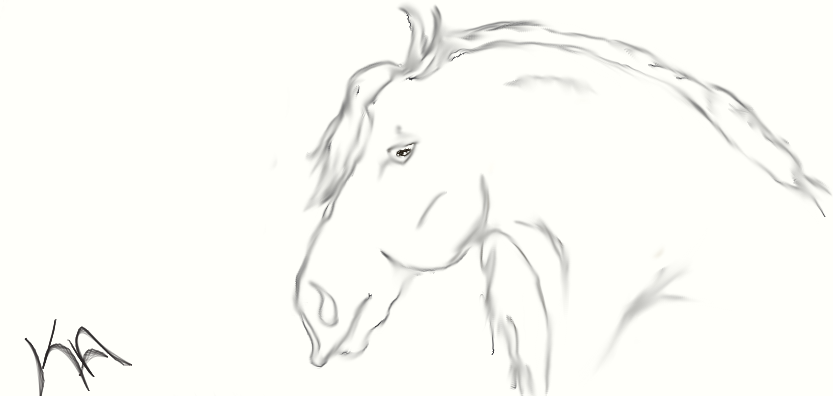 neigh by breezy3311 on DeviantArt