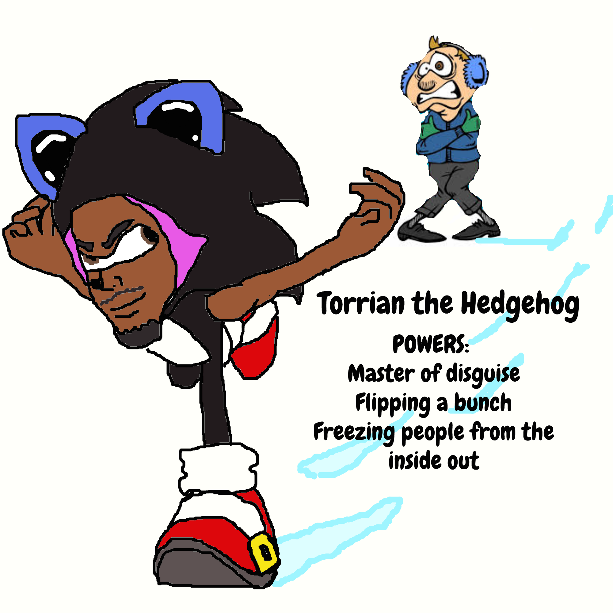 Torrian the Hedgehog (DeathBattleCast Submission) by Incredible ...