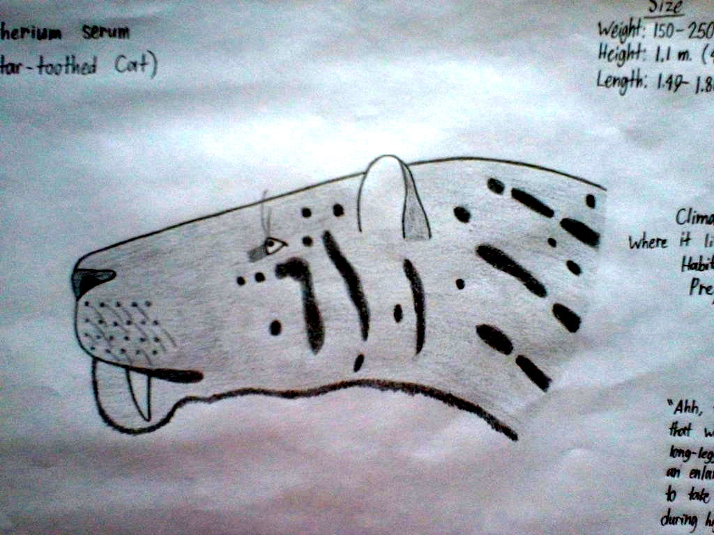 Homotherium serum (Scimitar-toothed cat) by 7908642 on DeviantArt